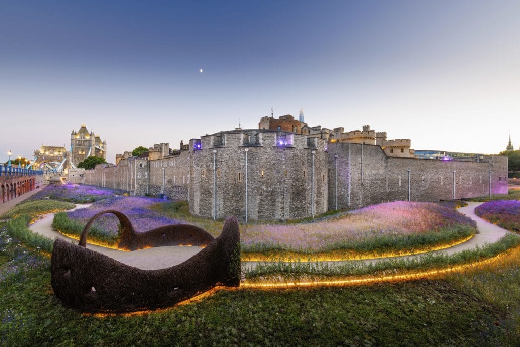 Superbloom at the Tower of London - Experience Studios