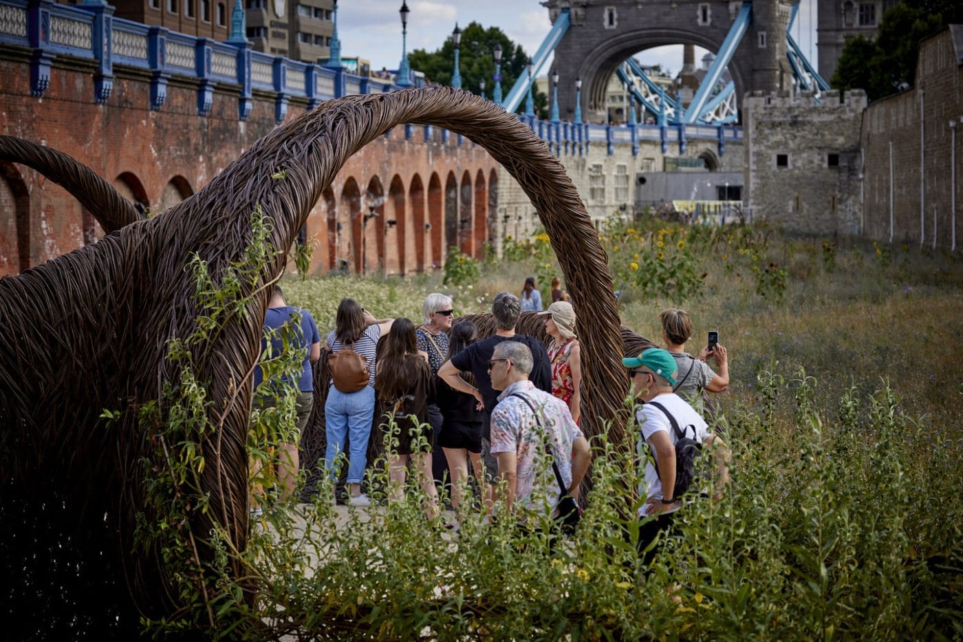 Superbloom at the Tower of London - Experience Studios
