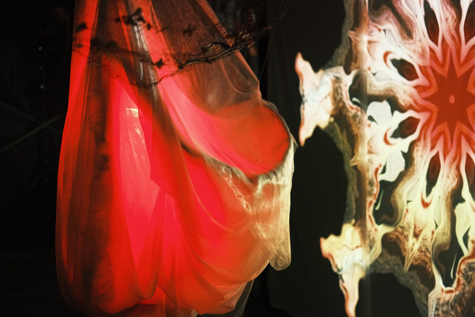 Homepage - Experience Studios